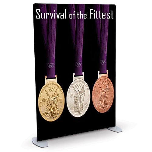 Portable Free Standing Banner Displays - 4' x 8' – FloorStands